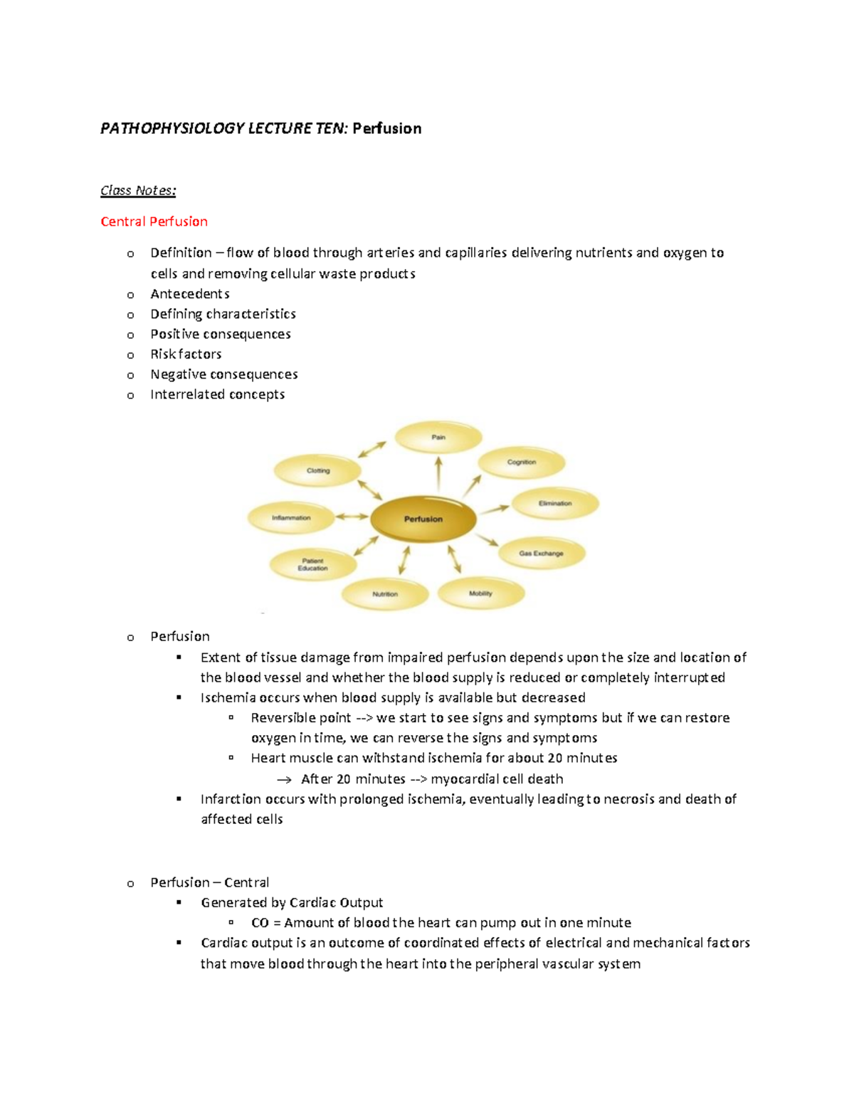 Patho Lecture 10 - Perfusuin - central and local - PATHOPHYSIOLOGY ...