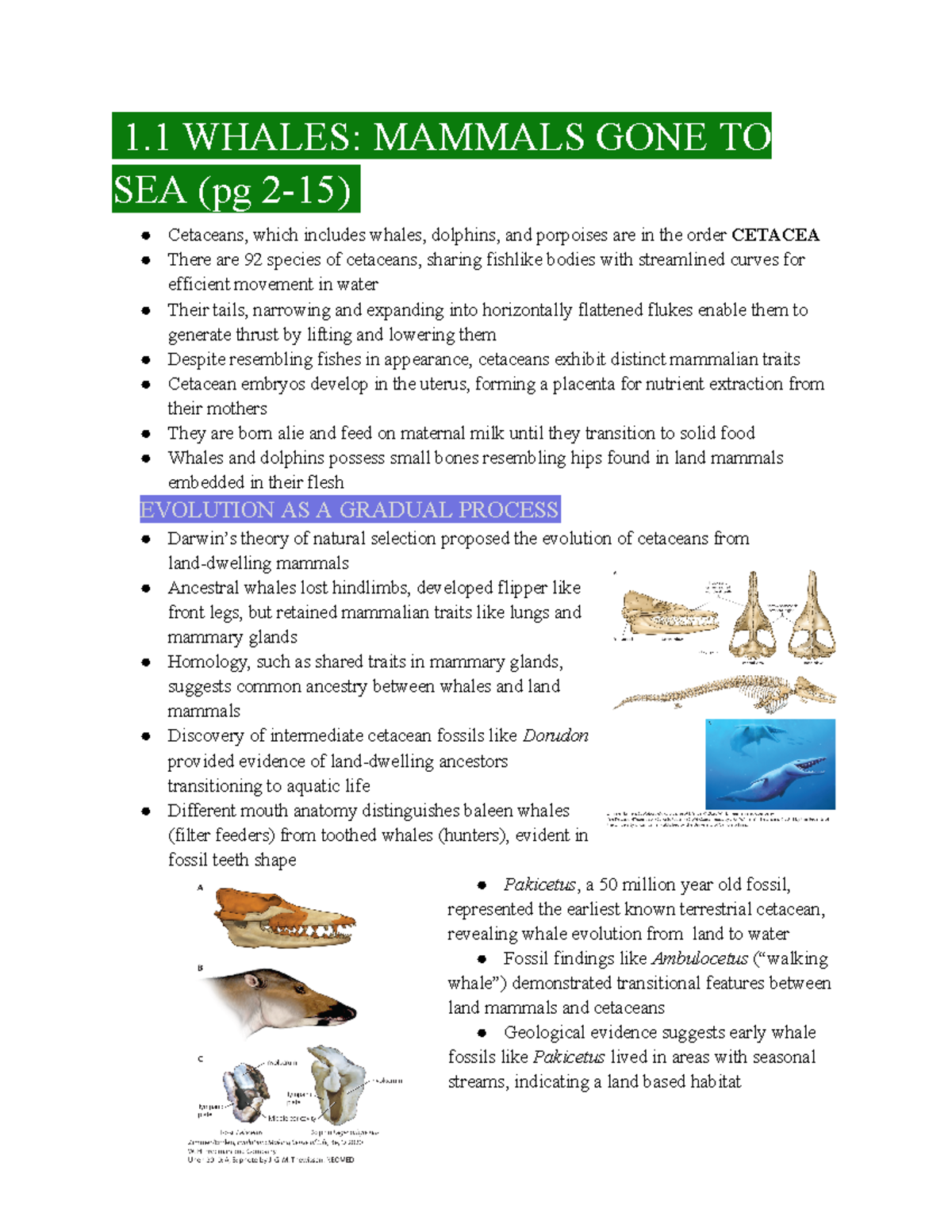 BIOL2400 Evolution Required Textbook Content Summarized - .1 WHALES ...