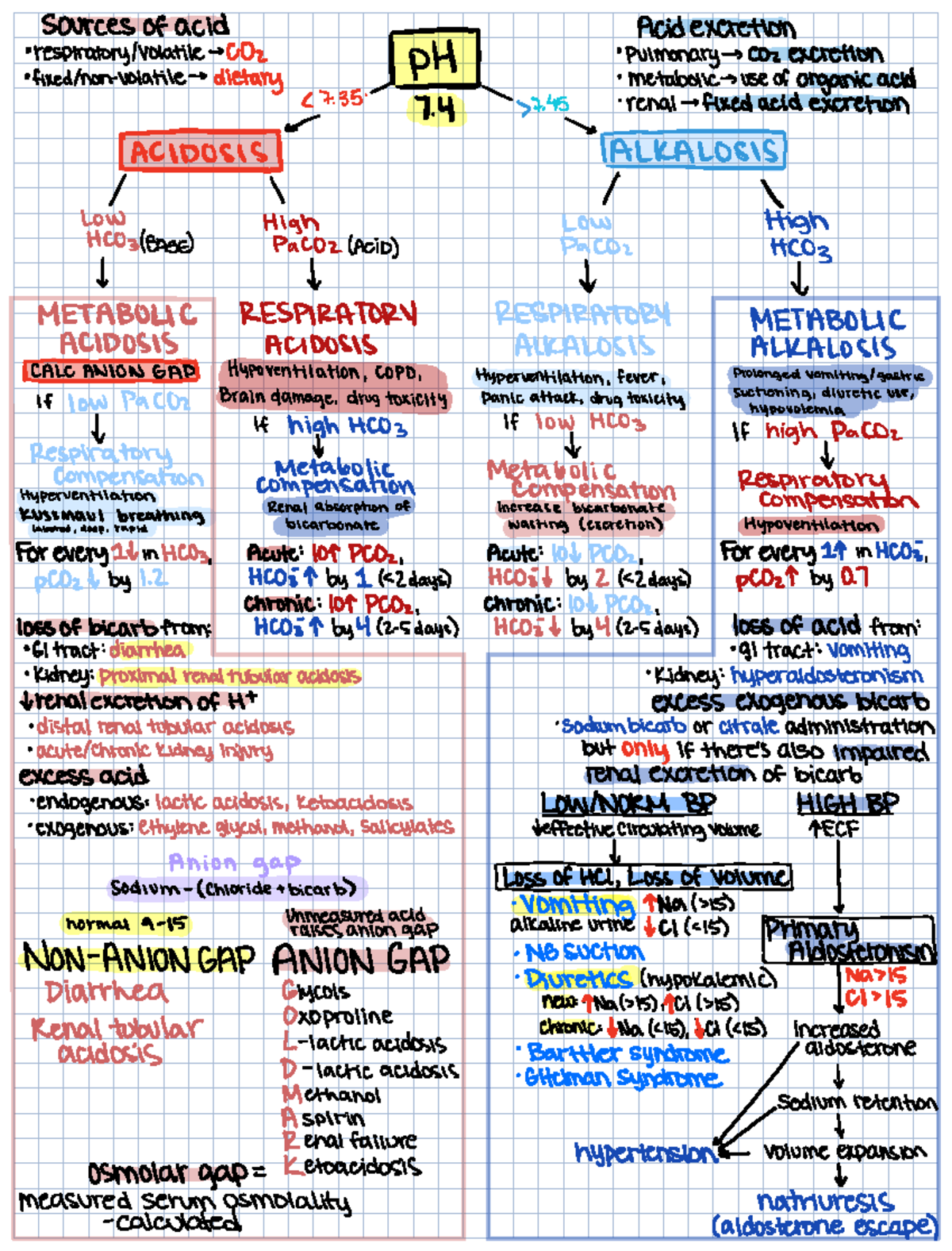Acid Base Disorders - Notes from lecture - sources of acid ...