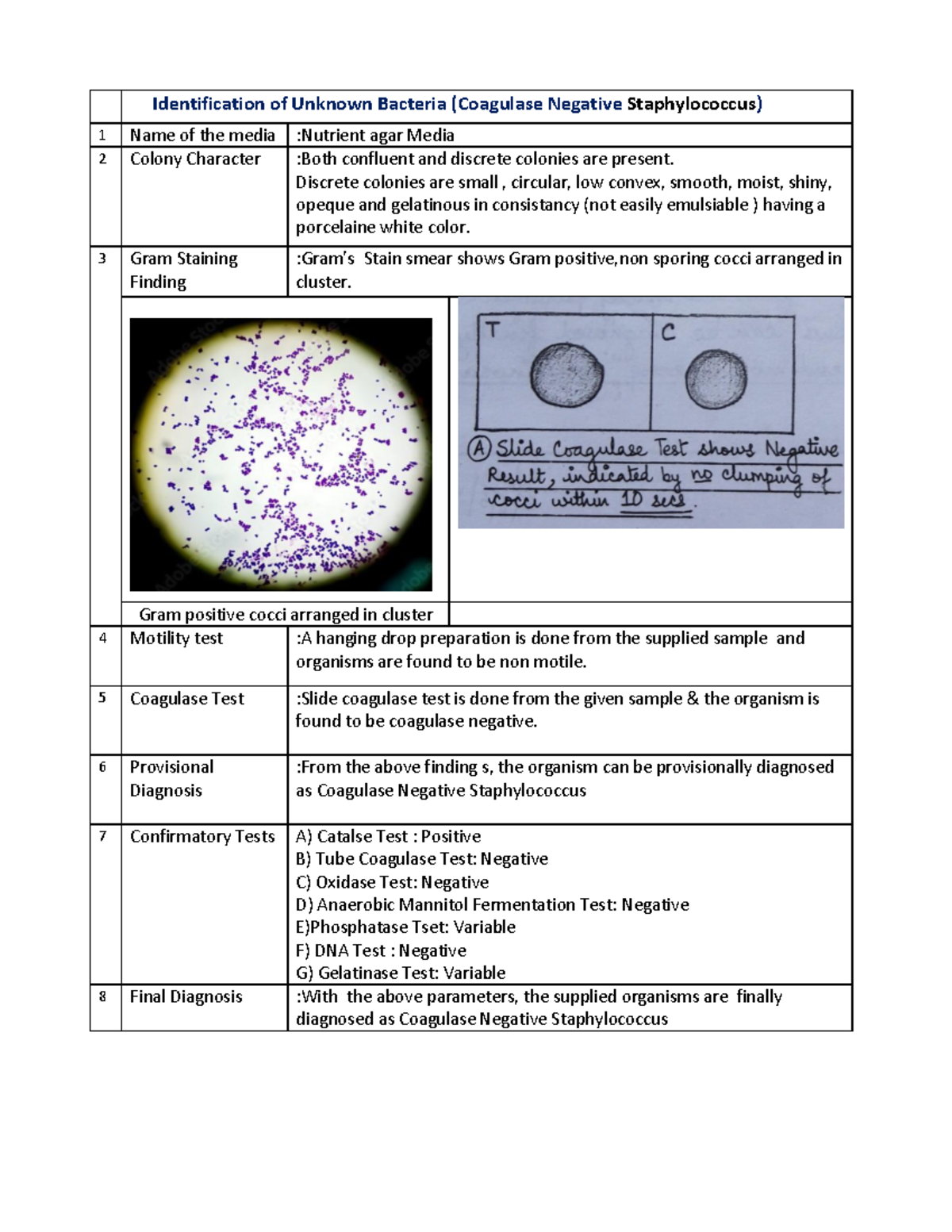 1a. Identification of Unknown Bacteria (Coagulase Negative ...