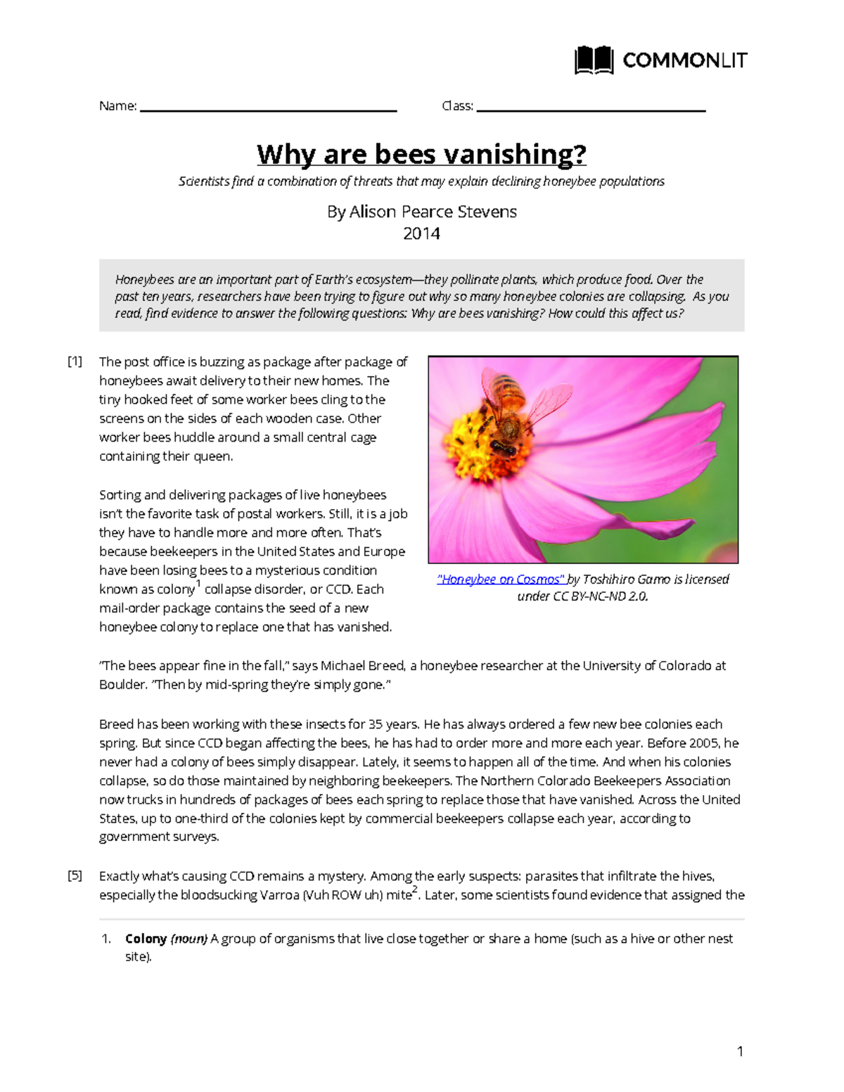 Why are Bee's vanishing article - Name: Class: "Honeybee on Cosmos" by ...