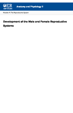 Review I Infertility Review Paper - Title: Understanding the Impact of ...
