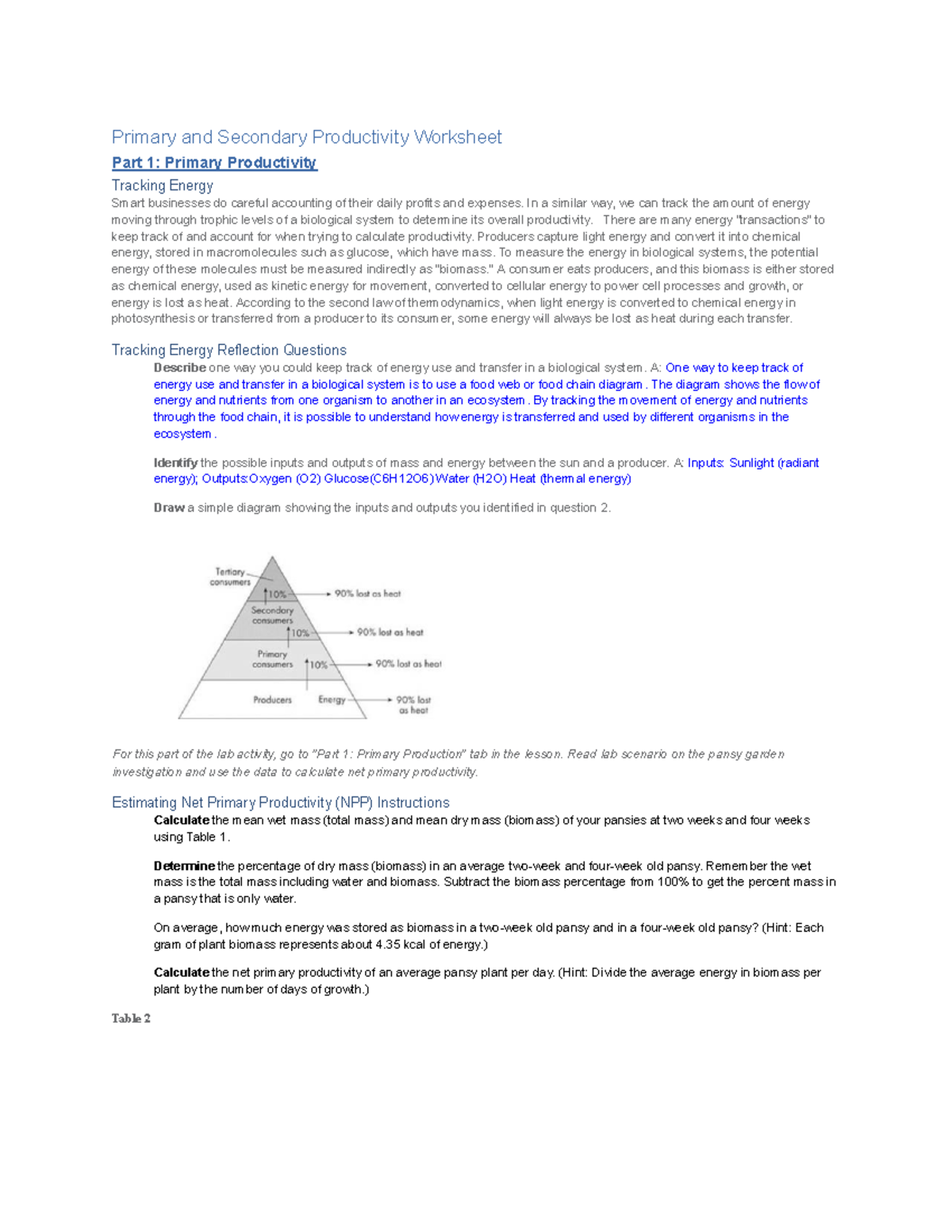08.02 Energy Flow Through Ecosystems - Primary and Secondary ...