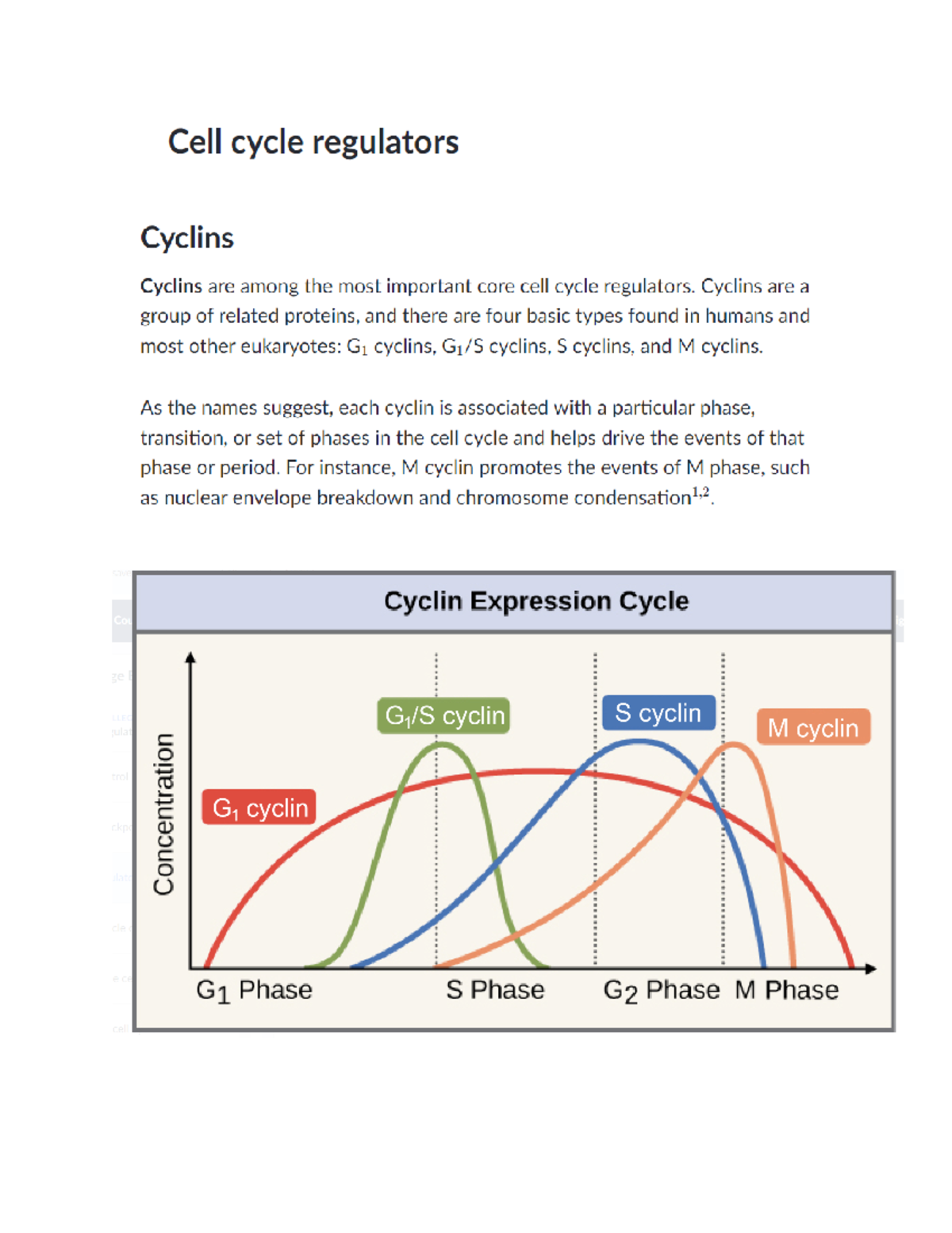 Cell Cycle Regulators - MST -Biolgy - Additional note: Resources: - Studocu