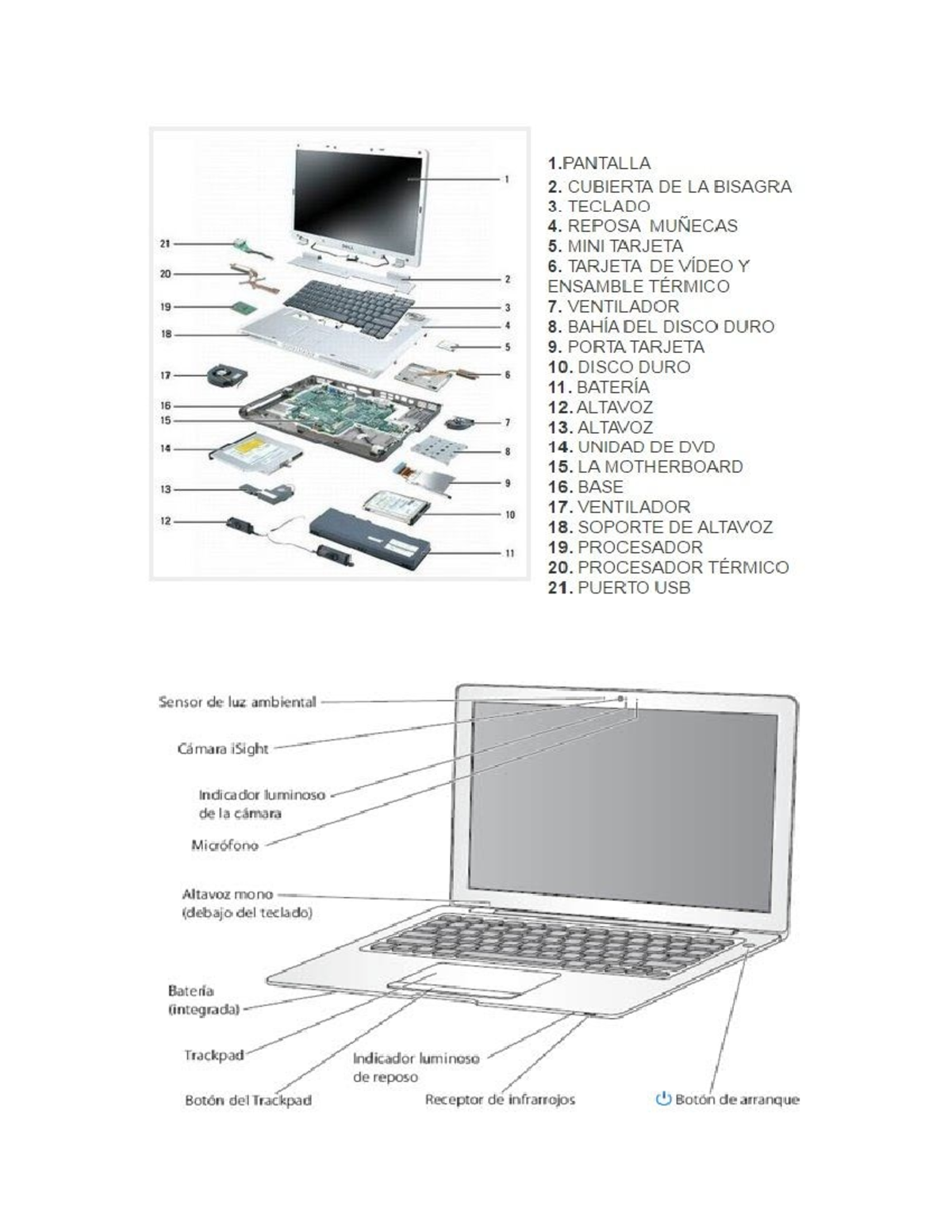 Exposición - ljhohljvhlkjbygcvuh - ¿Cuáles son las partes principales ...