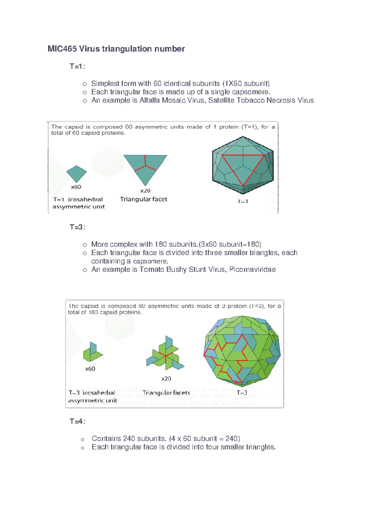 MIC 465 virus capsid structure & tringulation numbers - MIC465 Virus ...