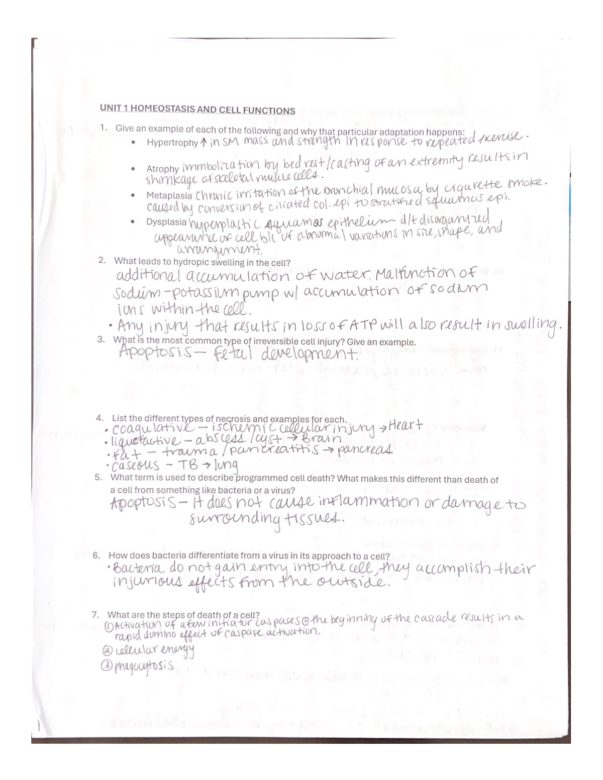 UNIT 1 Homeostasis AND CELL Functions - HPRS 2201 - Studocu