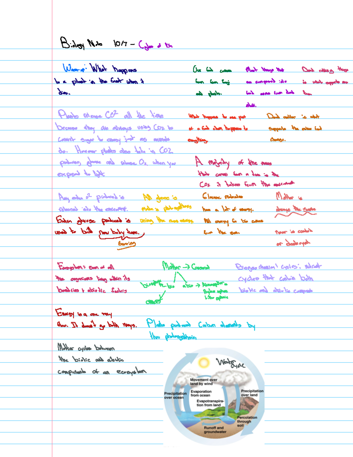 Biology Notes - Cycle Of Life - Oct 7, 2022 - BiologyNotes 10 7 ...