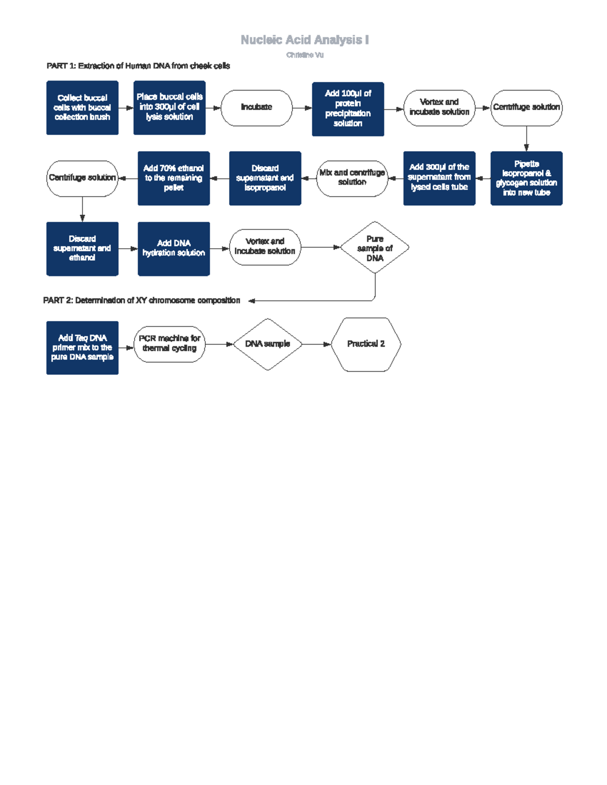 Week 1 Laboratory Flowchart - Collect buccal cells with buccal ...