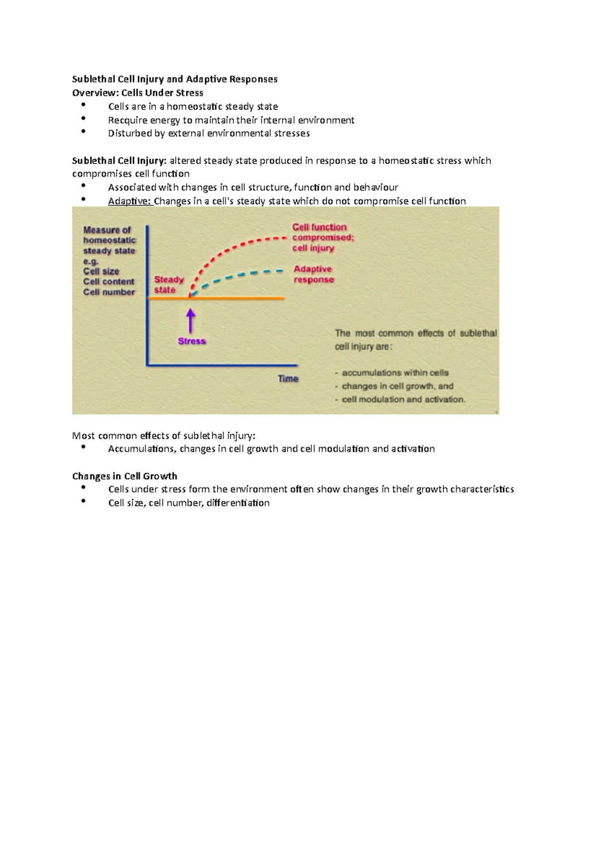 CAL10 - Sublethal Cell Injury and Adaptive Responses Overview: Cells ...