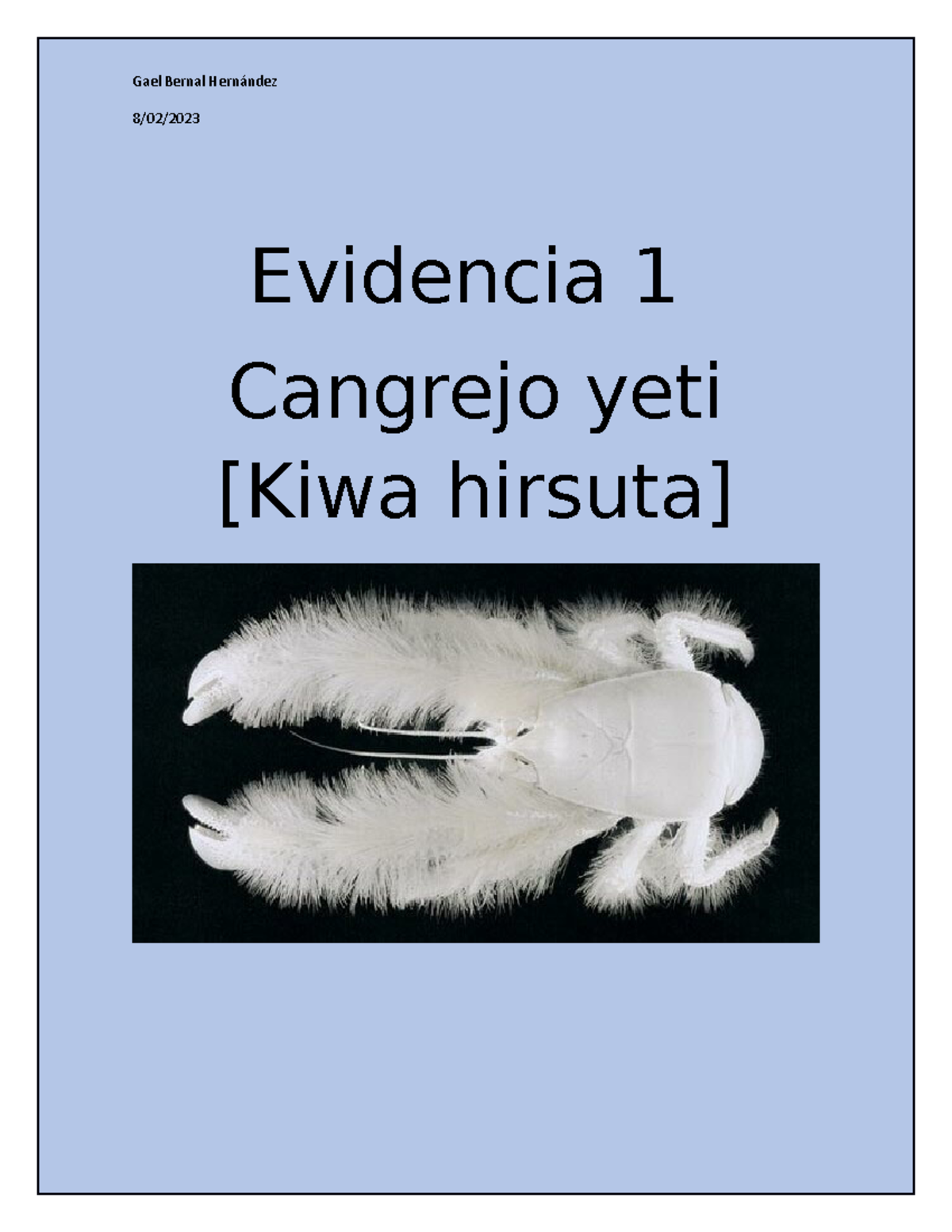 Evidencia 1 Ciencias de la vida - 8/02/ Evidencia 1 Cangrejo yeti [Kiwa ...
