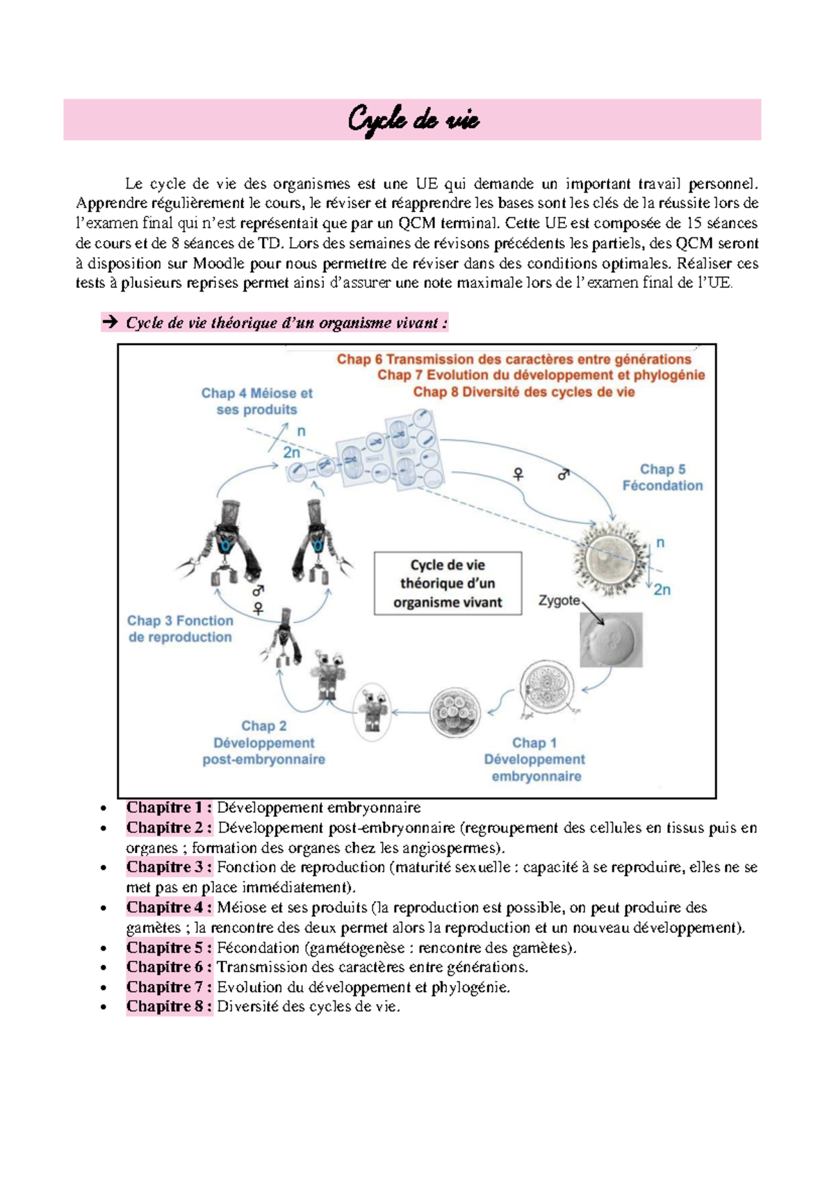 CM1-Introduction au cycle de vie - Cycle de vie Le cycle de vie des ...