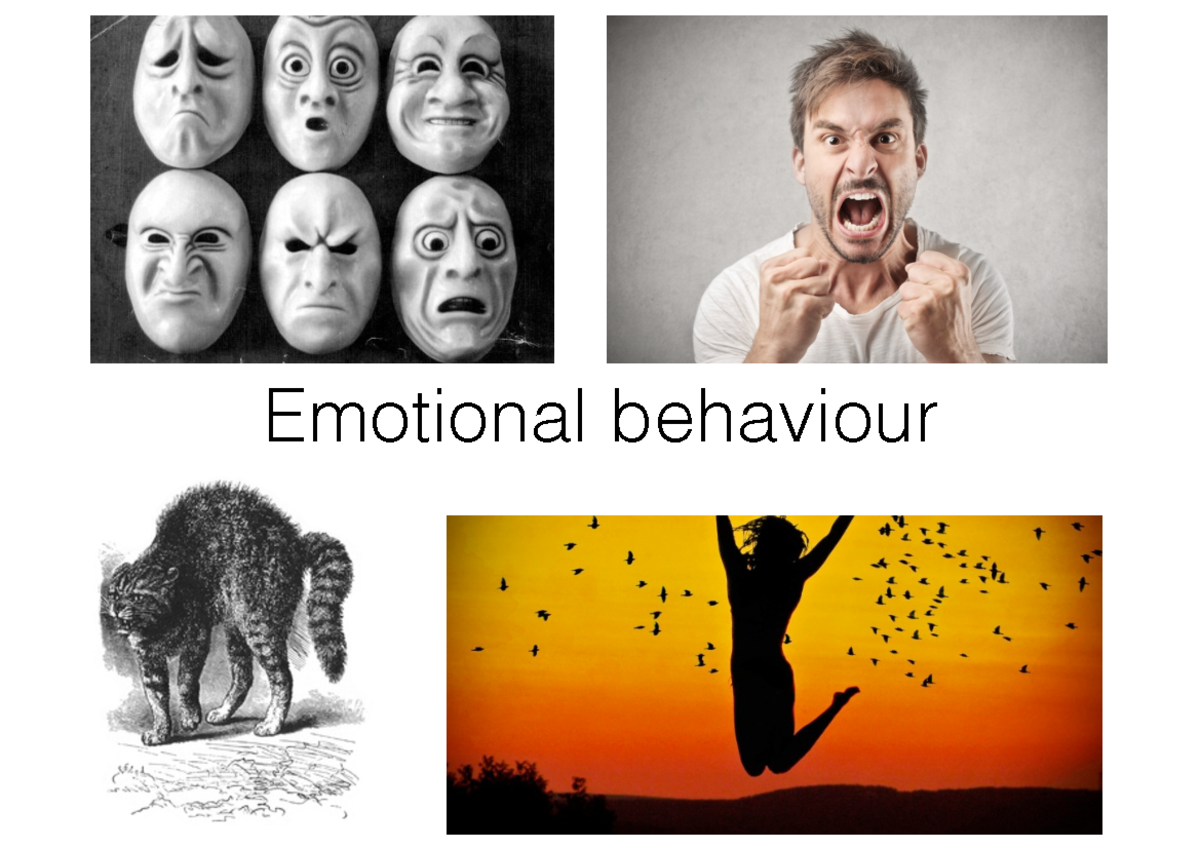 Emotions BW - Lecture slides on emotion - Emotional behaviour Emotions ...