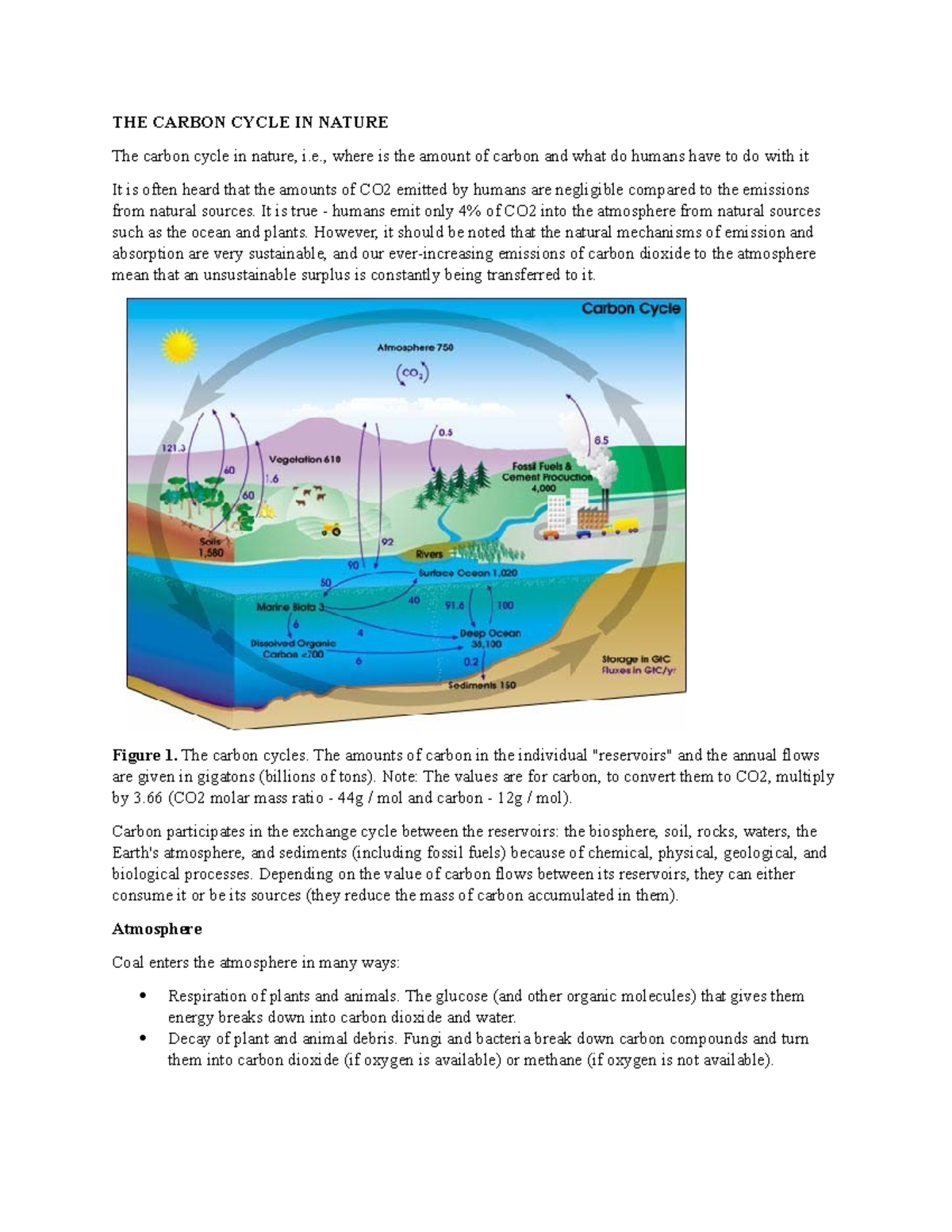 6. The blue carbon - Lecture notes 6 - THE CARBON CYCLE IN NATURE The ...
