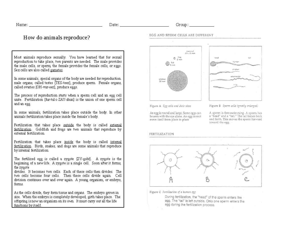 How do Animals Reproduce - Name: _________________________________ Date