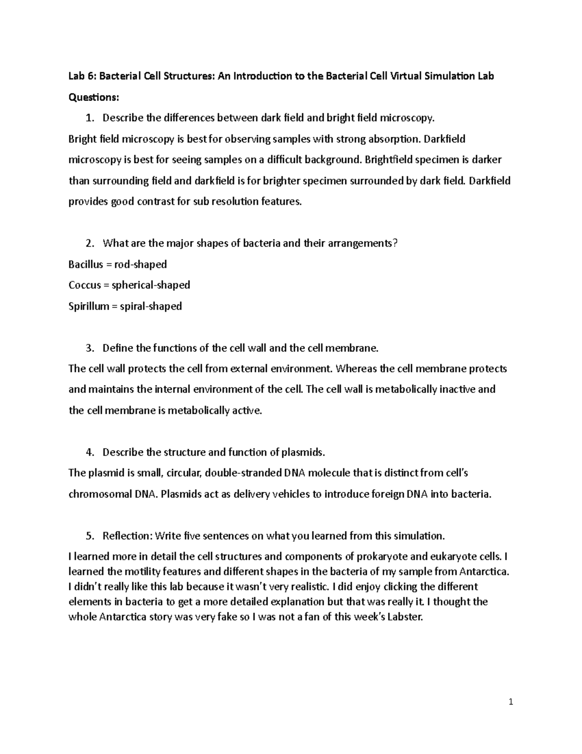 Bio242 lab week 6 - Lab 6: Bacterial Cell Structures: An Introduction to the Bacterial Cell ...