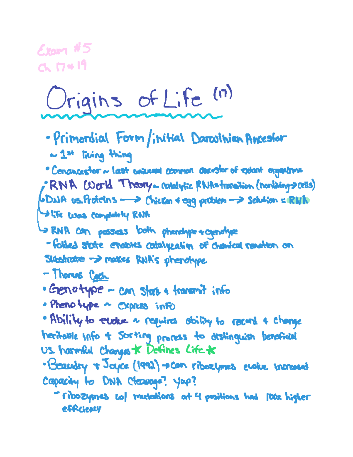 Exam 5 Study Guide - Exam 5 Ch 17 19 Origins of Life n mmmunum ...