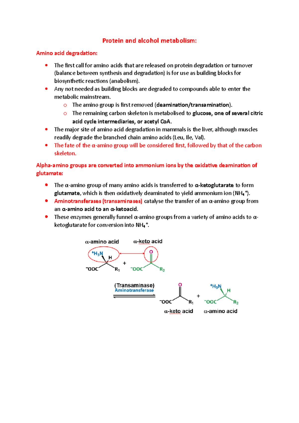BGM1002 Biochemistry - Protein and alcohol metabolism - Protein and ...