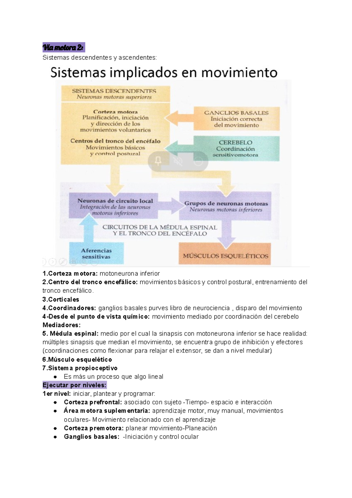 Vía motora 2 - clase - Vía motora 2 : Sistemas descendentes y ...