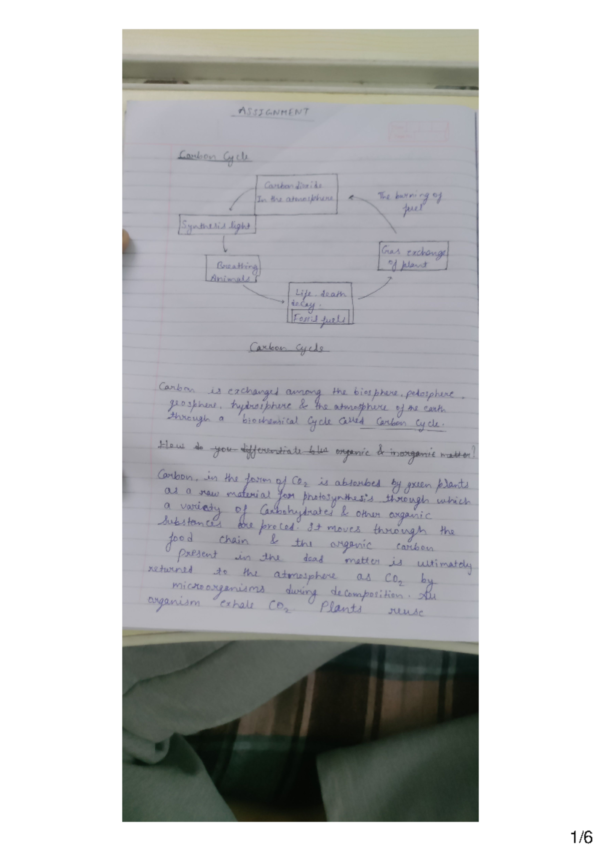 Evs work Aryan Singh section B - ASSIGNMENT Carbon Cycle Carbon dioxide In the atmosphere The ...