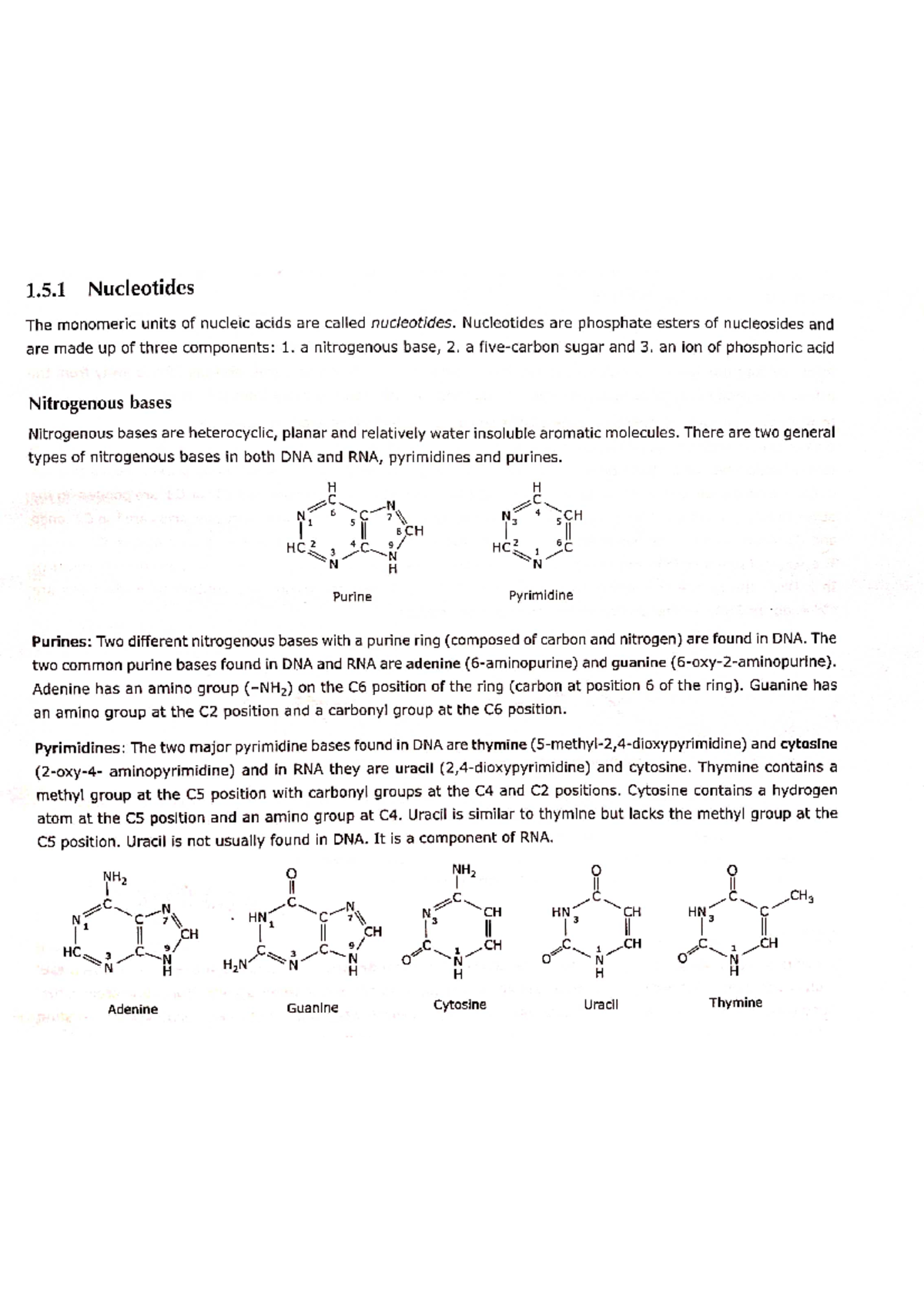 Nucleotides - Cell biology - Studocu