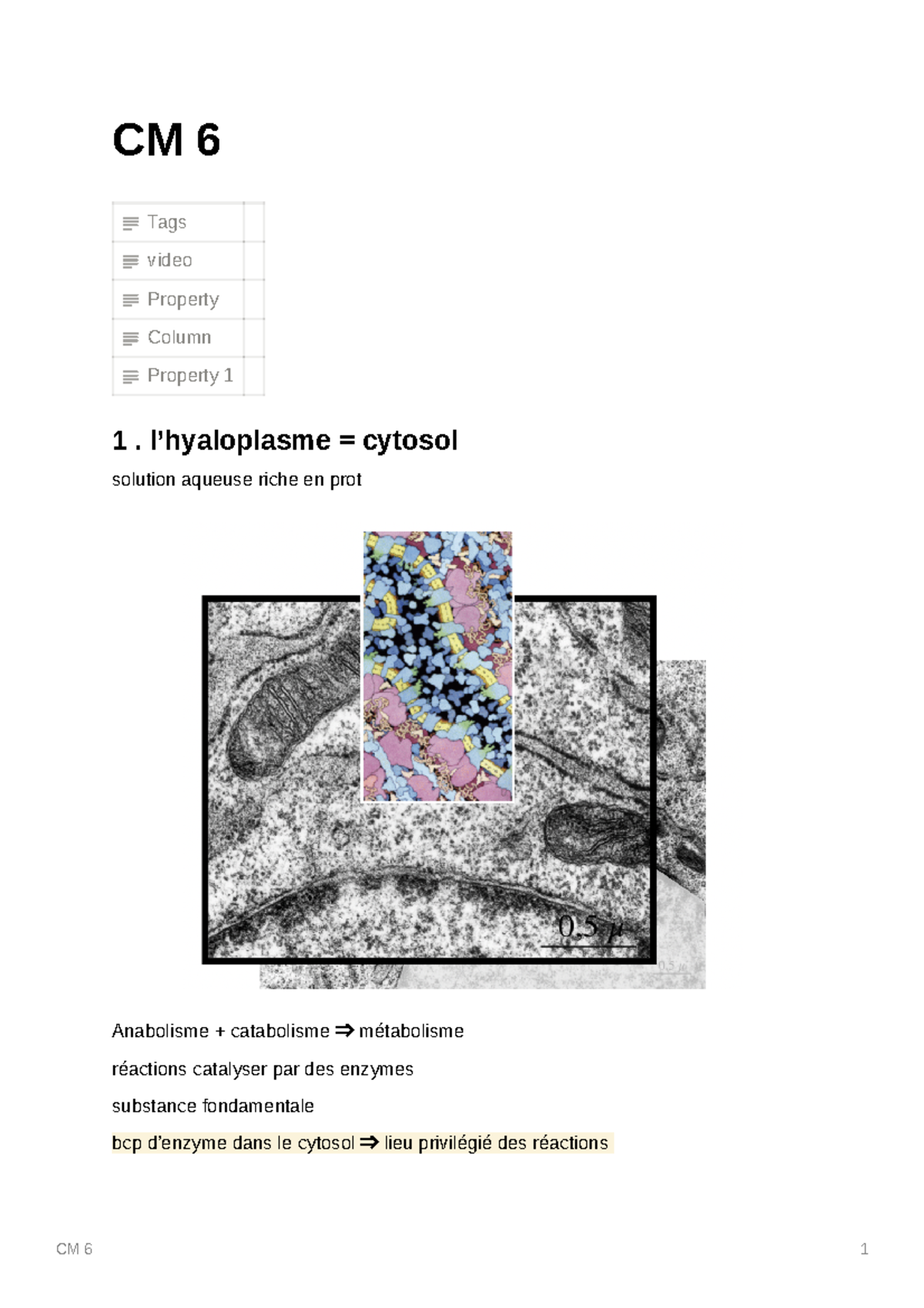 Prise de notes Biocell cm 6 - CM 6 Tags video Property Column Property ...