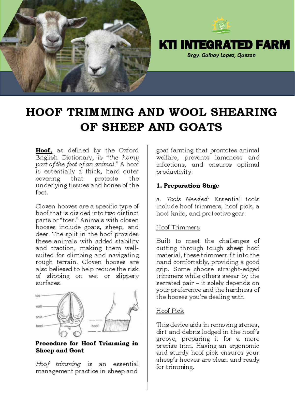 HOOF Trimming AND WOOL Shearing Activity Handout - Hoof, as defined by ...