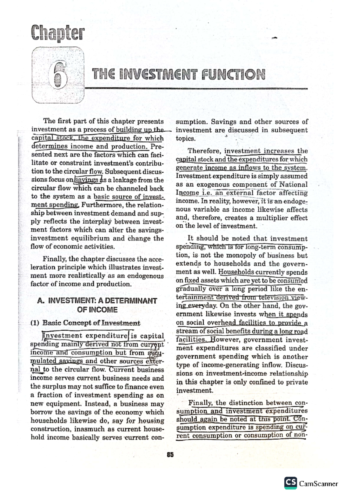 Chapter 6 THE Investment Function - Chapter THE INVESTMENT FUNCTION The ...