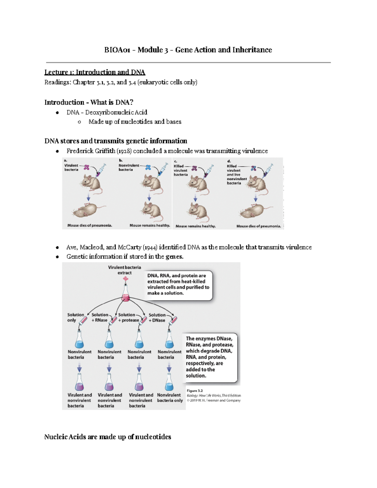 - Gene Action and Inheritance - BIOA01 - Module 3 - Gene Action and Inheritance Lecture 1: - Studocu