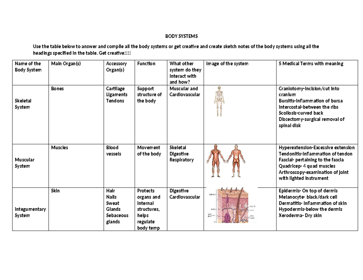 S Module 8 Body System Compilation - BODY SYSTEMS Use the table below ...