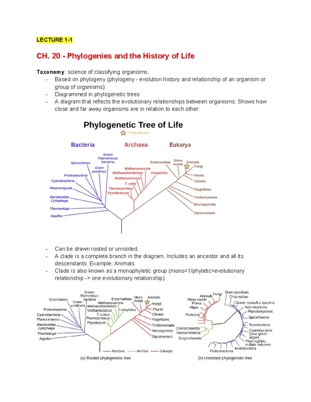 EXAM #1 Content (Lectures 1.1-1.5) - Ch. 20-23 - LECTURE 1- CH. 20 ...