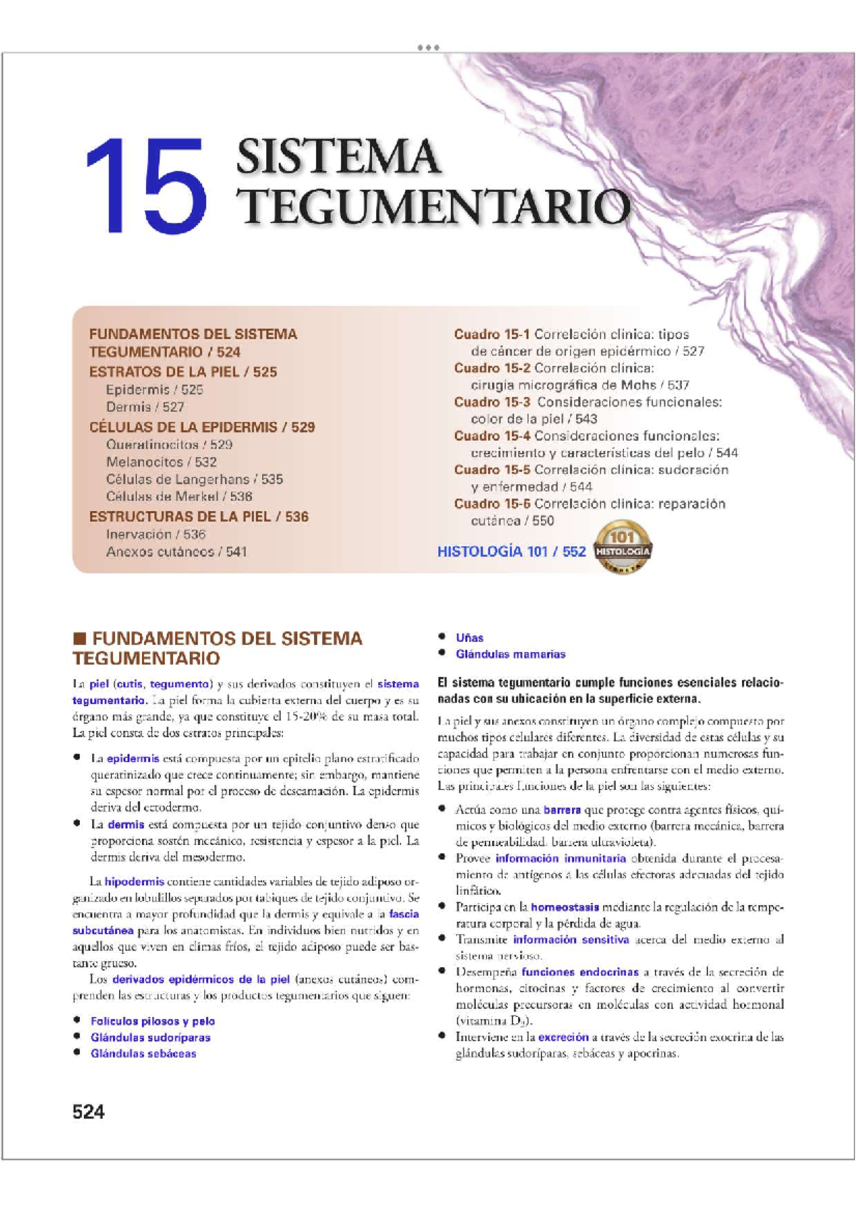 Ross Capitulo 15 - Sistema Tegumentario - Fisiología - Studocu