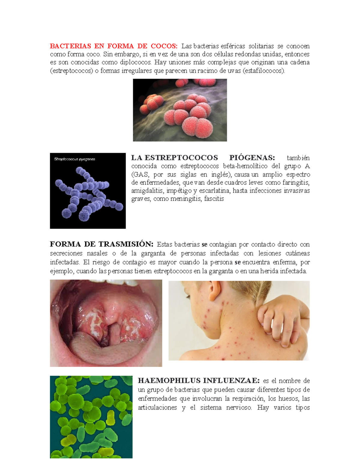 Bacterias EN Forma DE Cocos, Bacilos, Espirilos - BACTERIAS EN FORMA DE ...