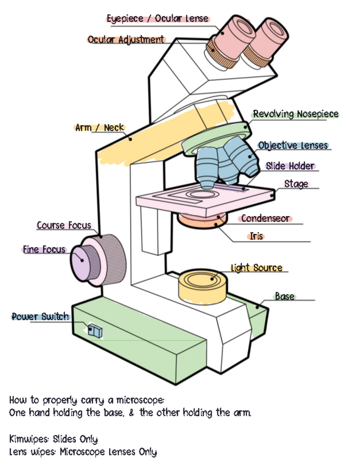 Biology 1407 - Lab Practical - Eyepiece / Ocular Lense Revolving ...