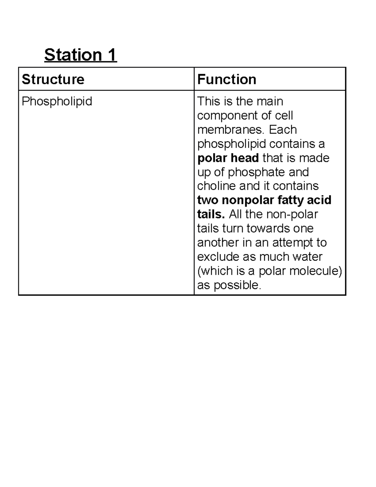 Jafer Plasma Membrane Stations - Structure Function Phospholipid This ...