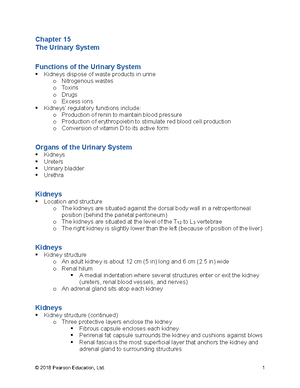 Chapter 1: The Human Body: An Overview - Chapter 1 The Human Body: An ...