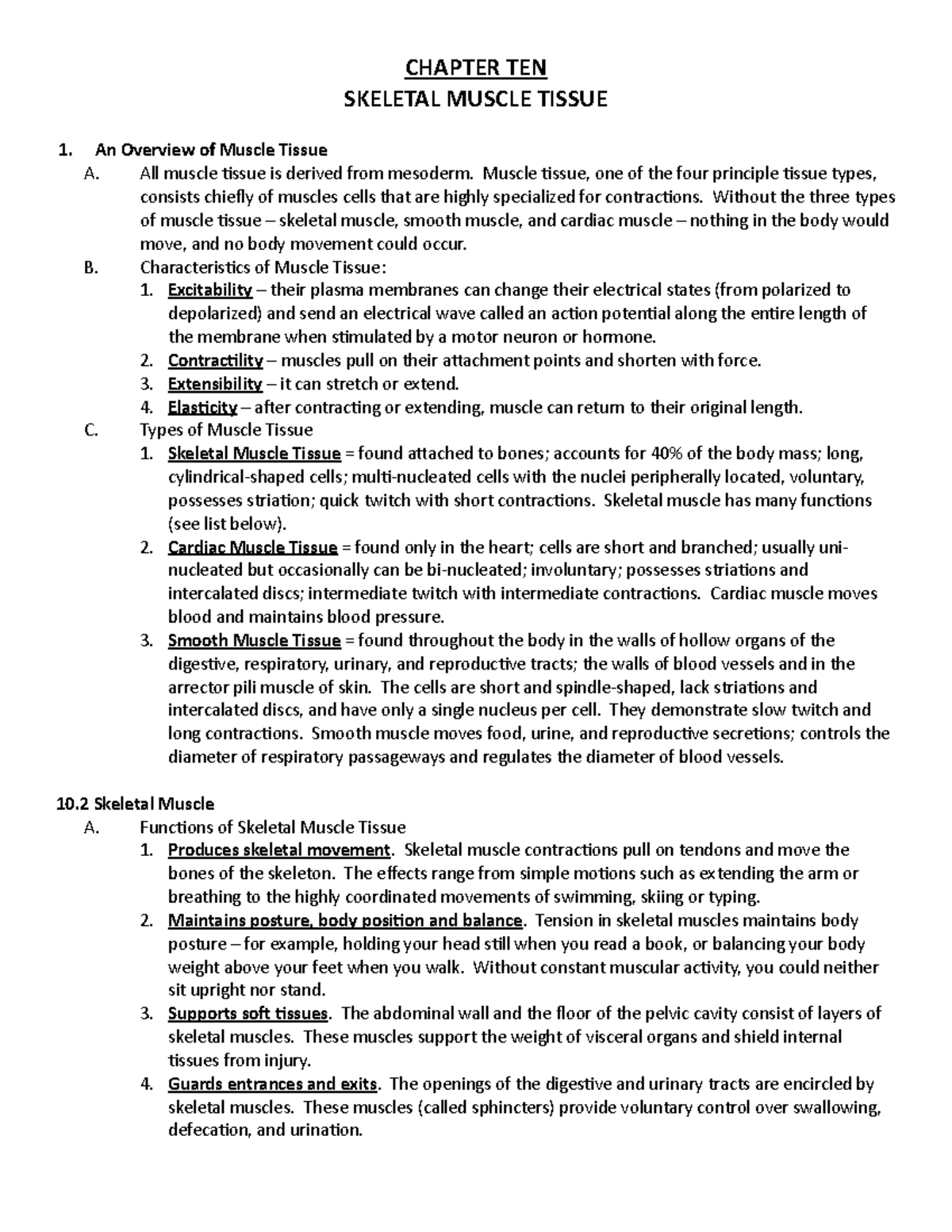 Chapter 10 Outline skeletal muscle tissue - CHAPTER TEN SKELETAL MUSCLE ...