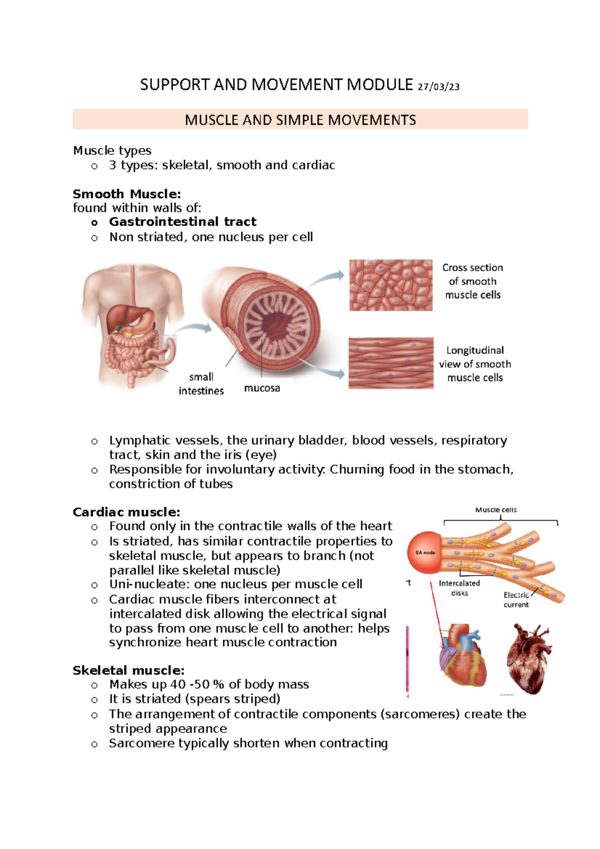 LEC - Support AND Movement Module 27 - SUPPORT AND MOVEMENT MODULE 27 ...