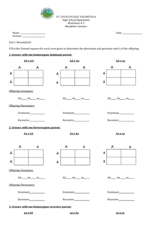 Science-10 Q4 Mod1 - molecular theory for grade 10 - Science Quarter 4 ...