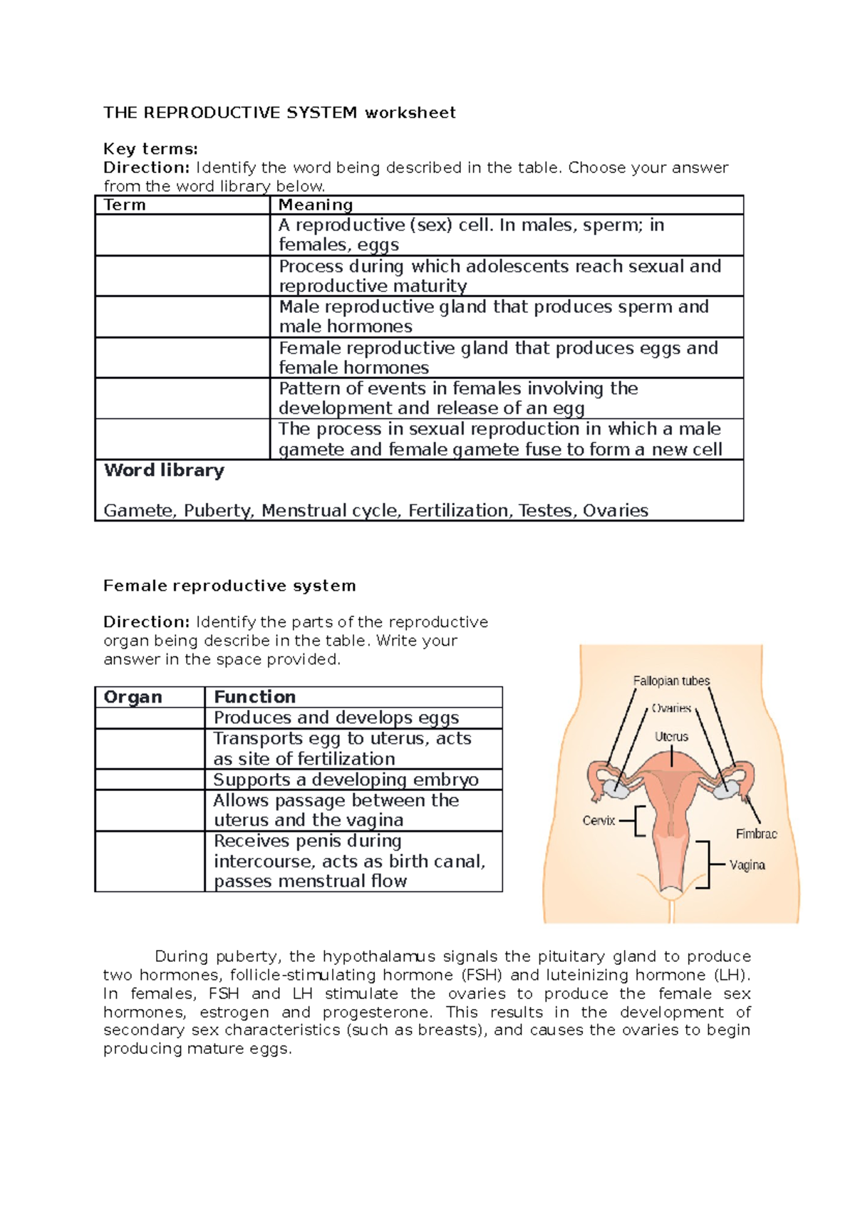 THE Reproductive System worksheet - THE REPRODUCTIVE SYSTEM worksheet ...