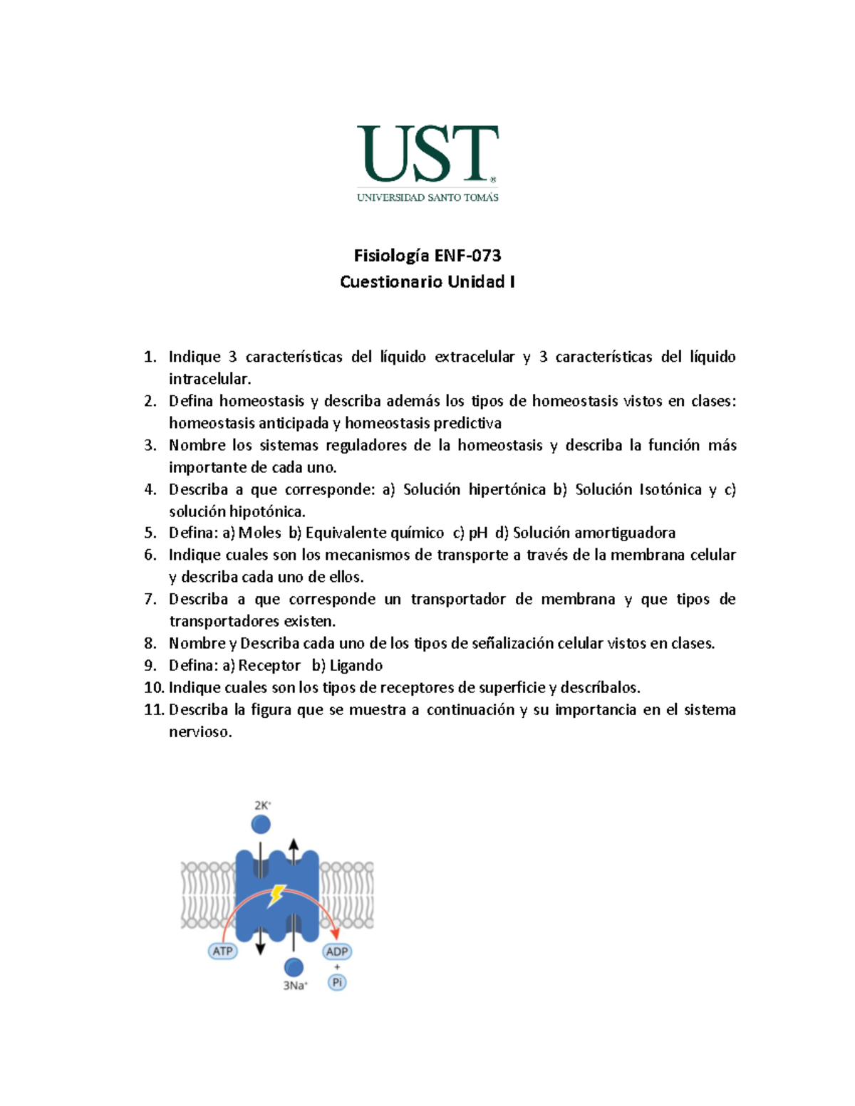 Cuestionario Fisiolog Ã a ENF-073 unidad 1 - Fisiología ENF- 073 ...