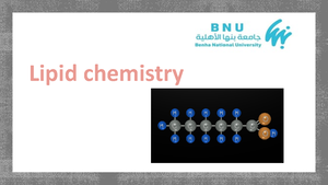 Machine Learning MCQ Questions and Answer PDF - input attribute hidden attribute output ...