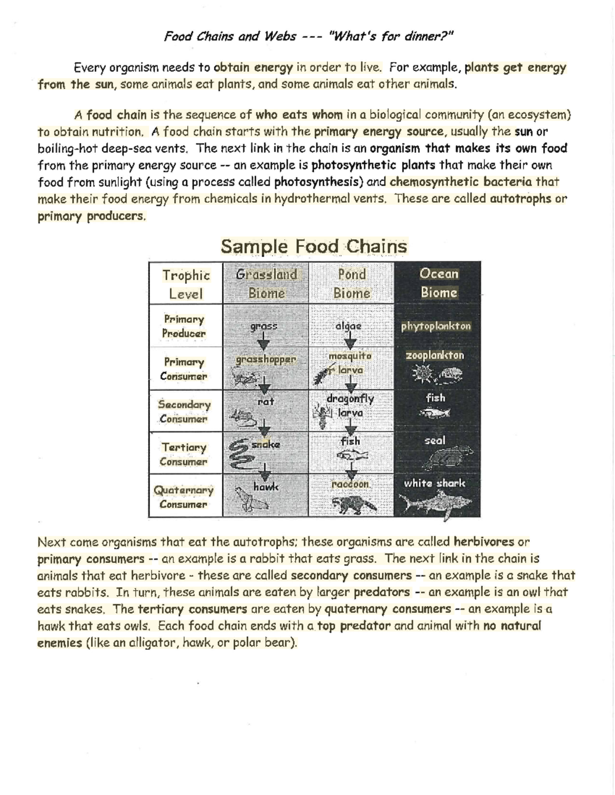 Annotated-Food Chain Worksheets - Food Chains and Webs "What's for ...