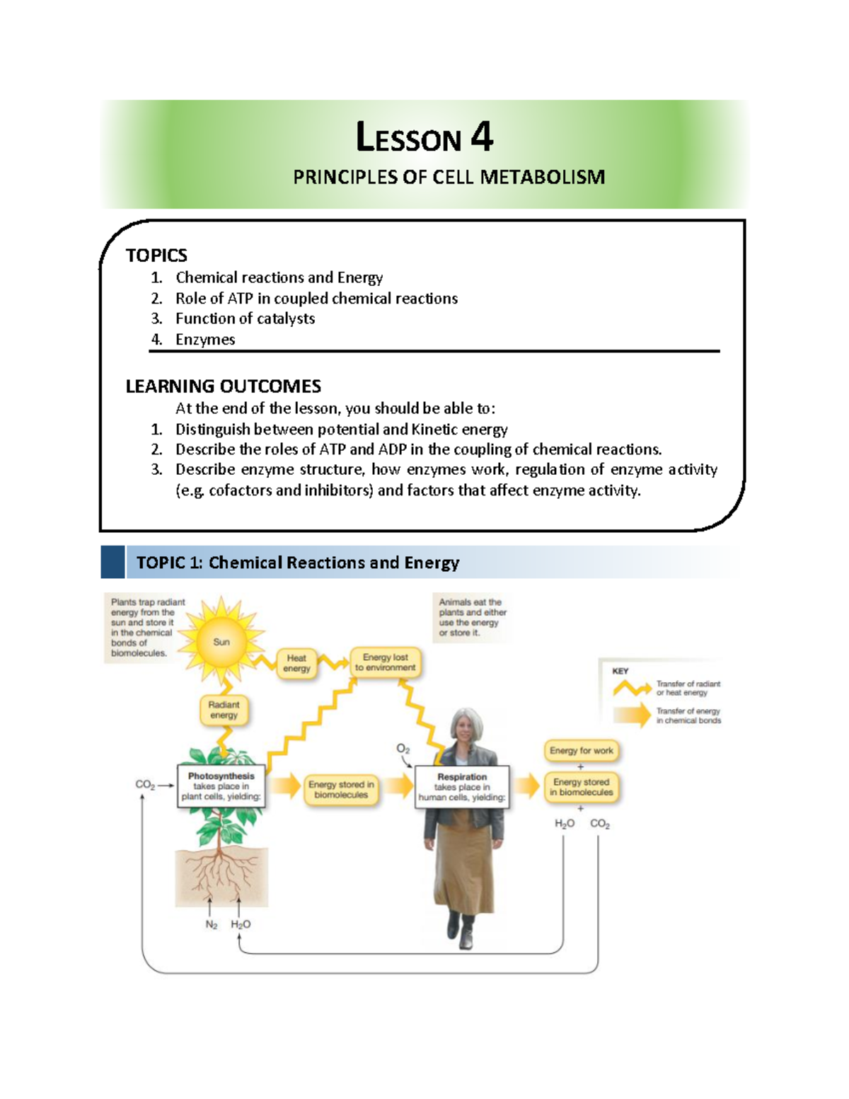 Module - Lesson 4 - TOPICS 1. Chemical reactions and Energy 2. Role of ...