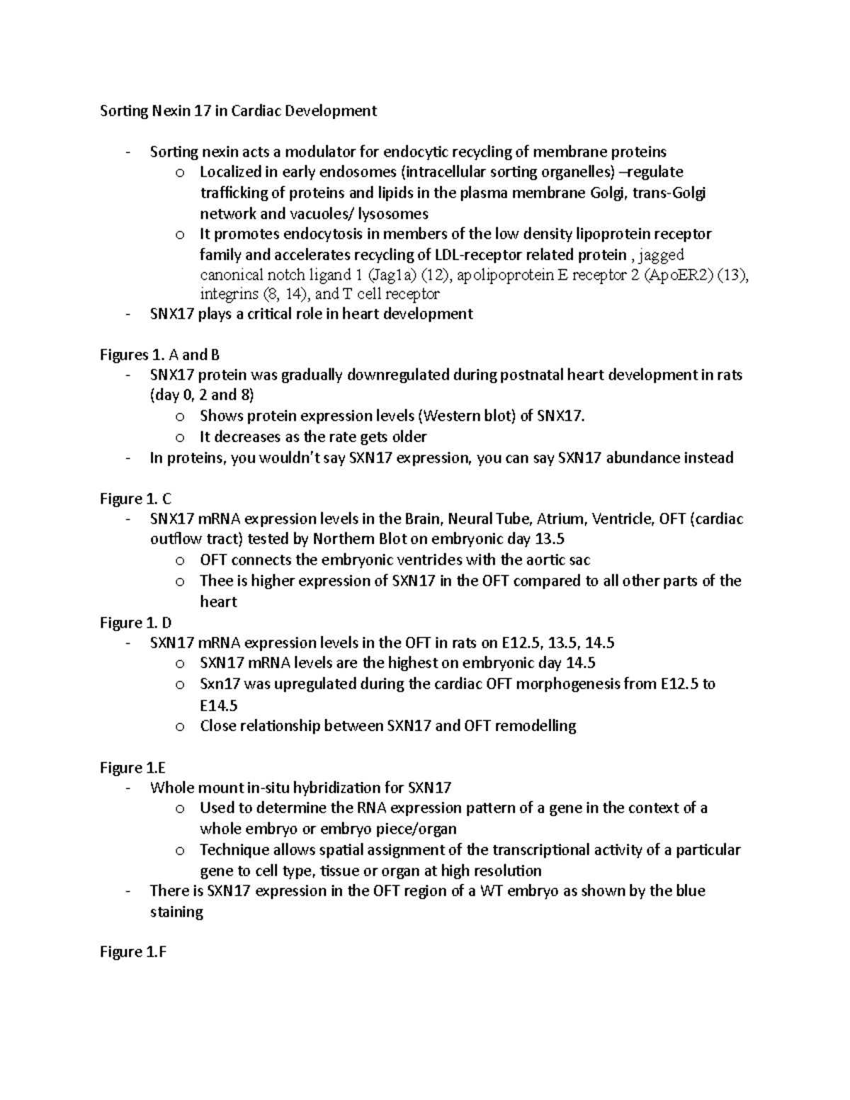 Sorting Nexin 17 in Cardiac Development-In class paper notes - Sorting ...
