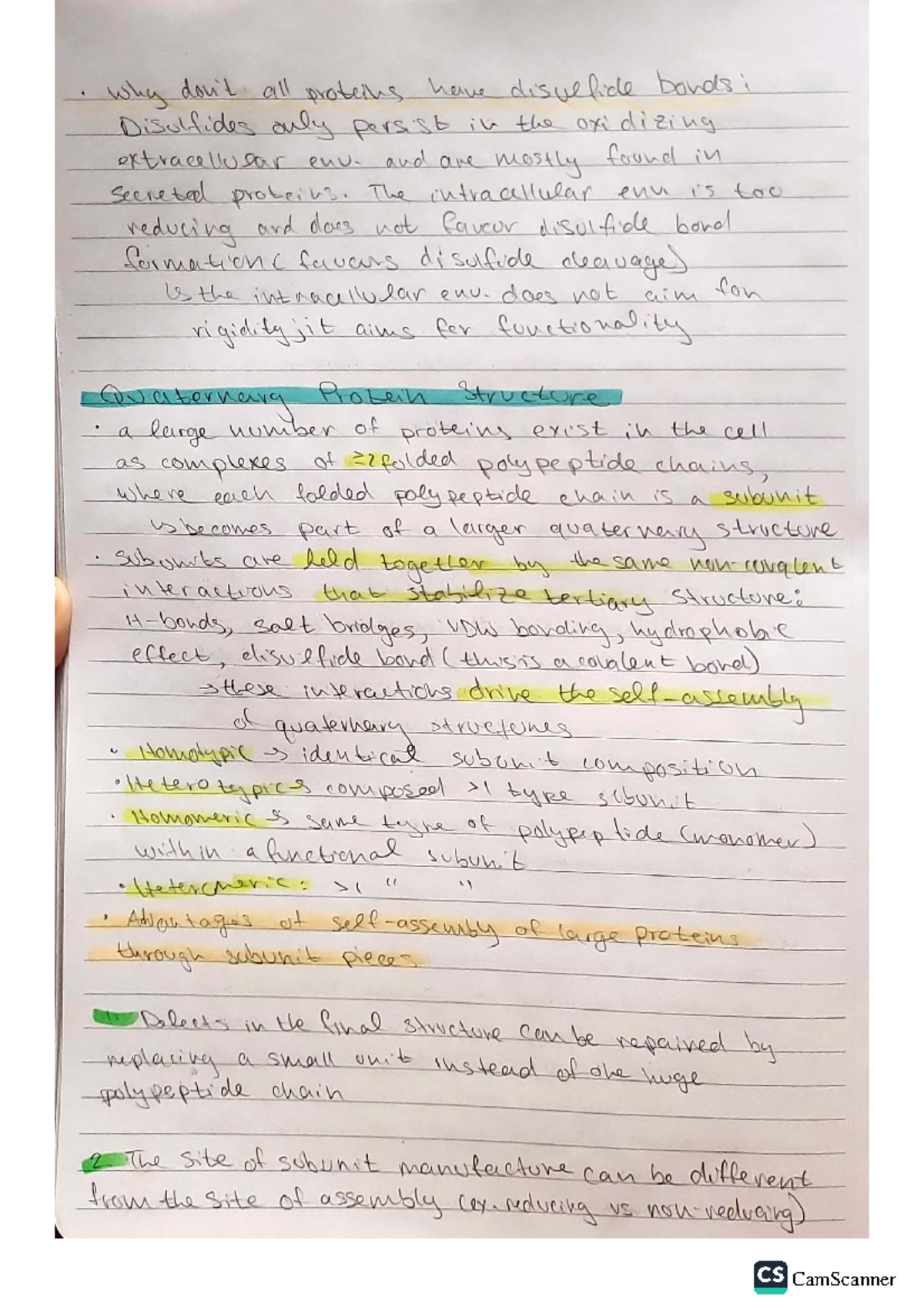 Quaternary structure notes - BCH2333 - Studocu