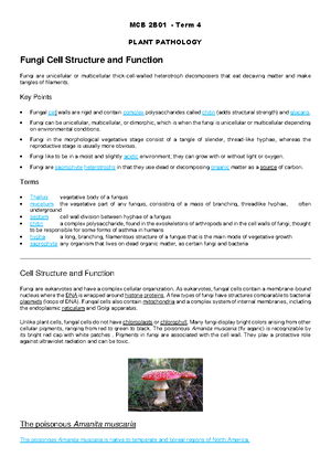 Plant Pathology Lecture 2 and 3 Notes part 2 - MICROBIOLOGY: PLANT ...