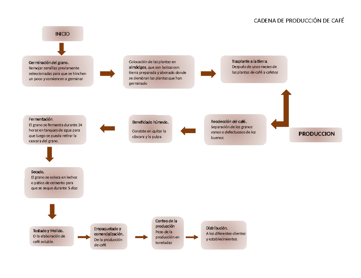 Cadena DE Producción DE CAFÉ - CADENA DE PRODUCCIÓN DE CAFÉ Germinación ...