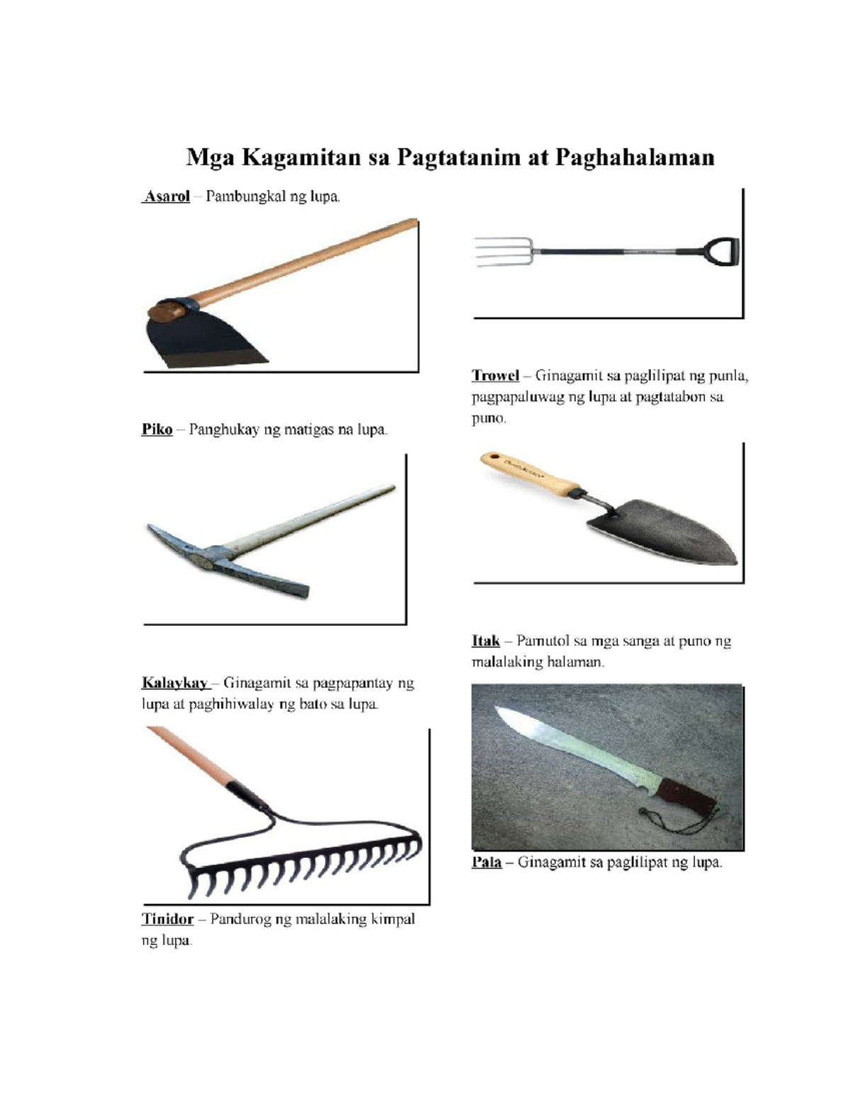 R8rr - description - Mga Kagamitan sa Pagtatanim at Paghahalaman Asarol ...