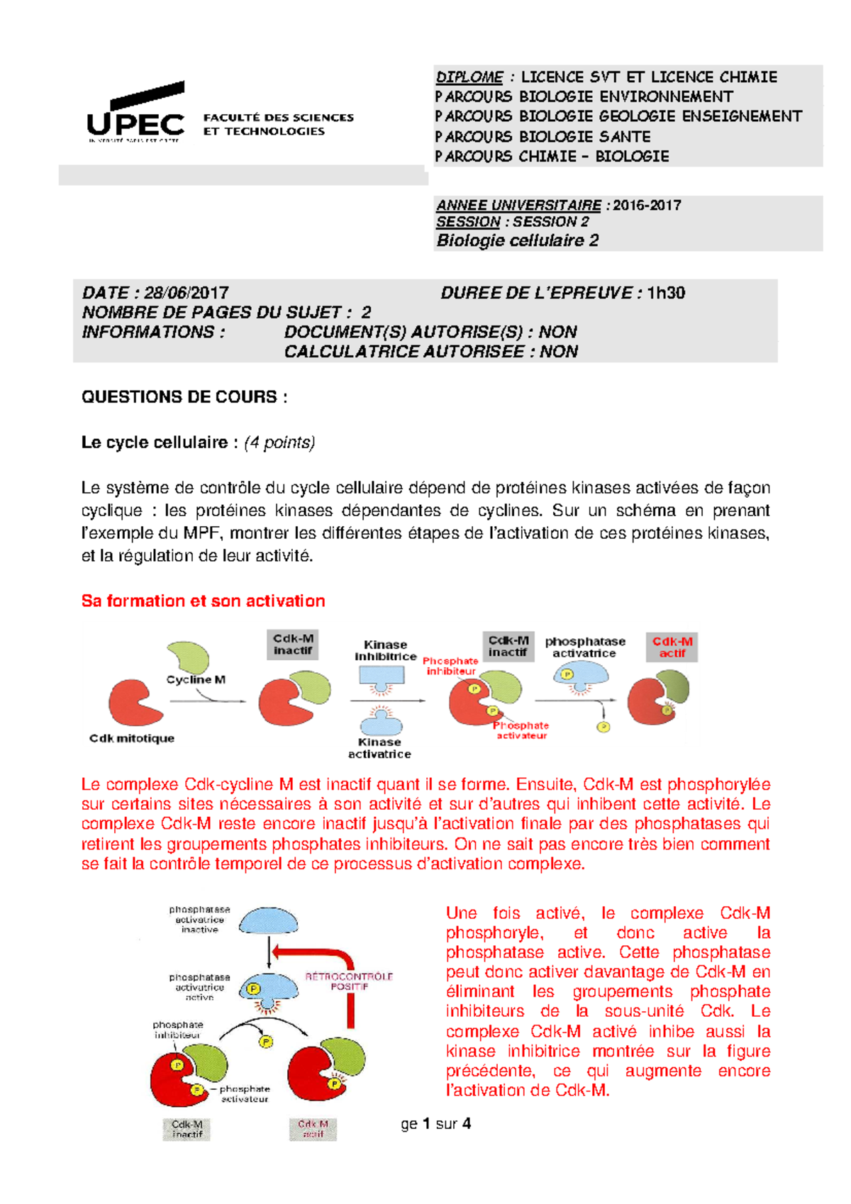 Sujet Examen Biologie Cellulaire L2 SVT L2 Chimie parcours BE BGE BS CB ...